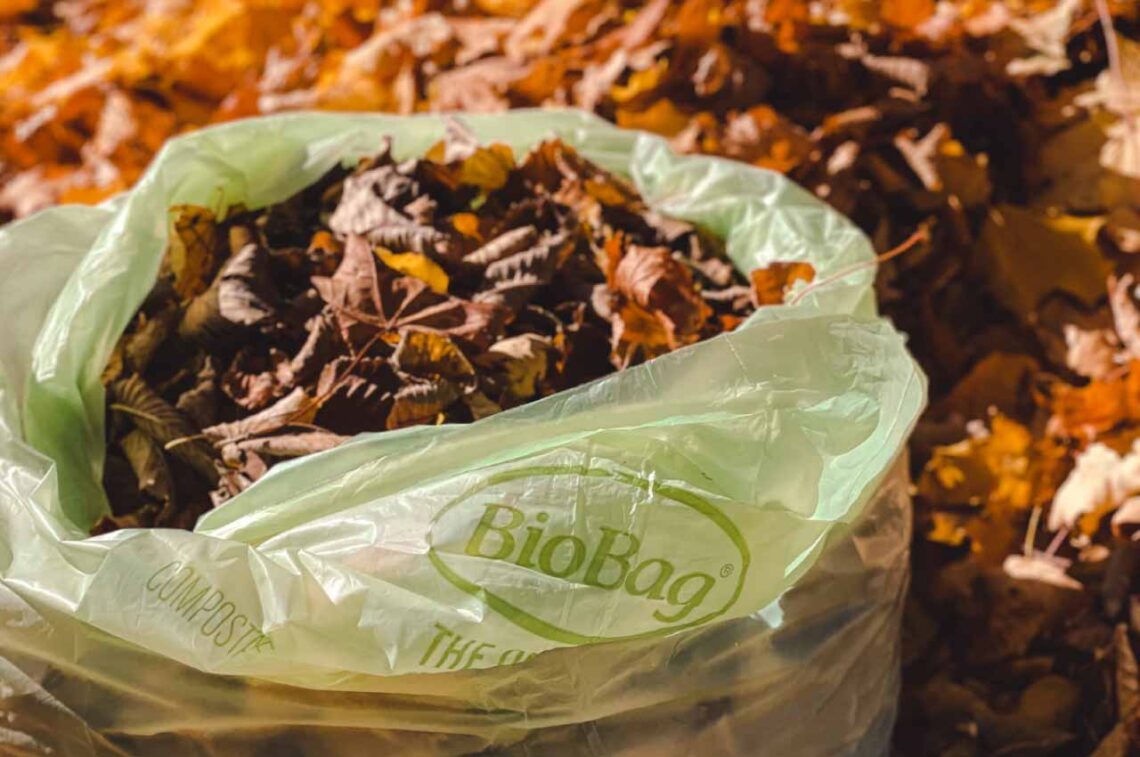 Sügisesed lehed, mida nendega teha? – BioBag